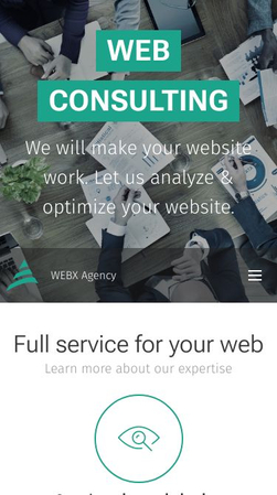 Web Consulting Website Template - Website template