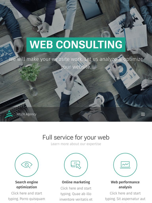 Web Consulting Website Template - Website template