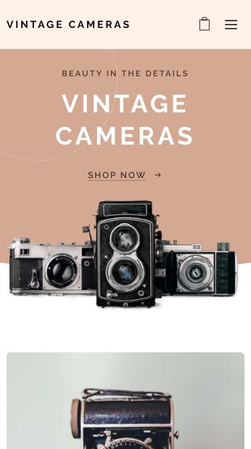 Camera Store Template - Website template