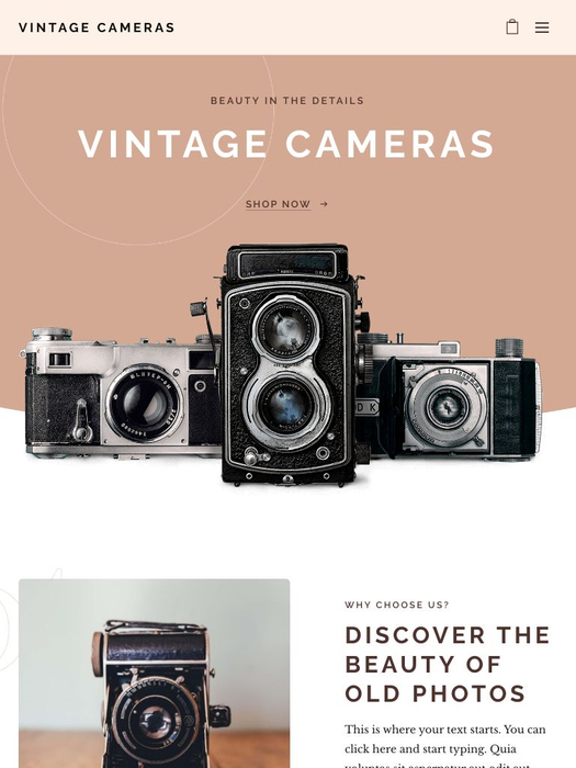 Camera Store Template - Website template