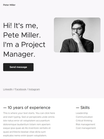 Professional CV Website Template - Website template